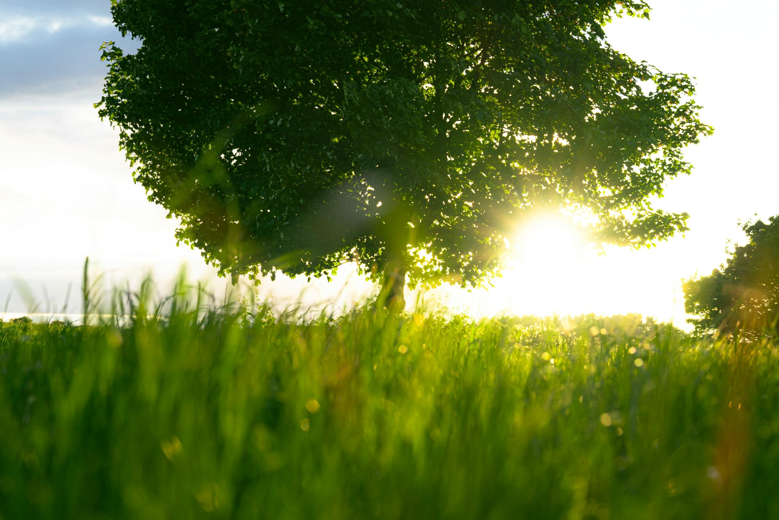 Clean Before God | Journaling with God for Intimacy and Understanding ...